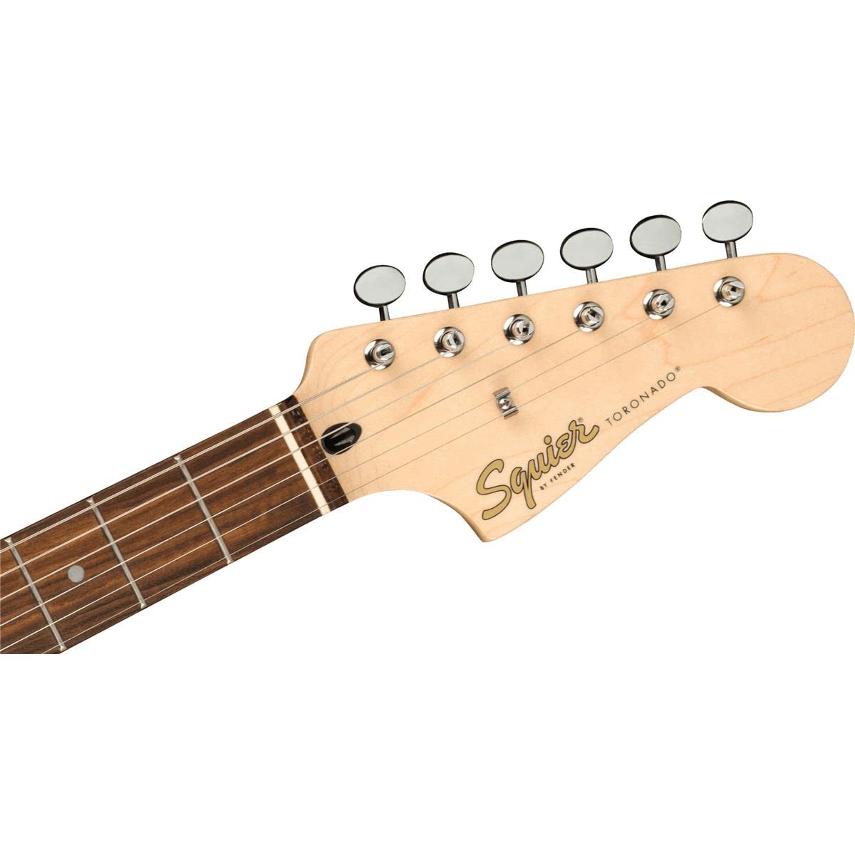 Squier Paranormal Toronado Toronado Electric Guitar, with 2-Year Warranty, Mystic Sea Foam Green, Laurel Fingerboard