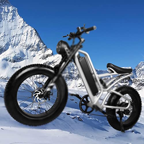 Wonzoneddzxc Electric Bicycles 20 Inch Electric Bicycle Variable Speed Off-Road Booster with Removable Electric Mountain Bike