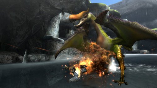 Monster Hunter Tri - Standard