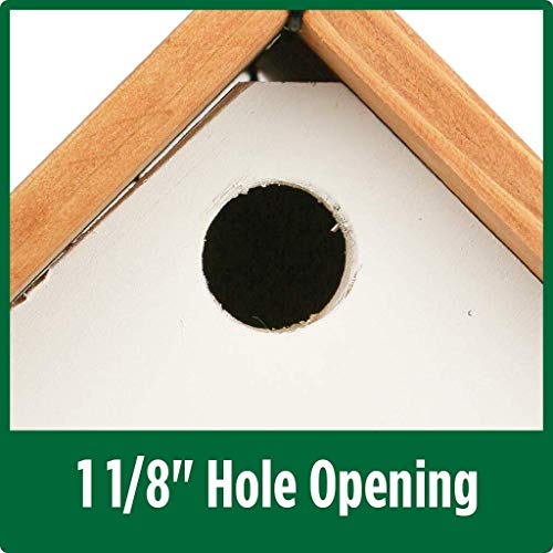 Wild Wings WWLH2-DECO Farmhouse Wren House, White