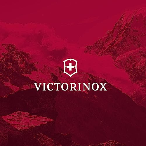 Victorinox 6.9050.17KG Modern Santoku Knife with Granton Blade, 7", Walnut Wood