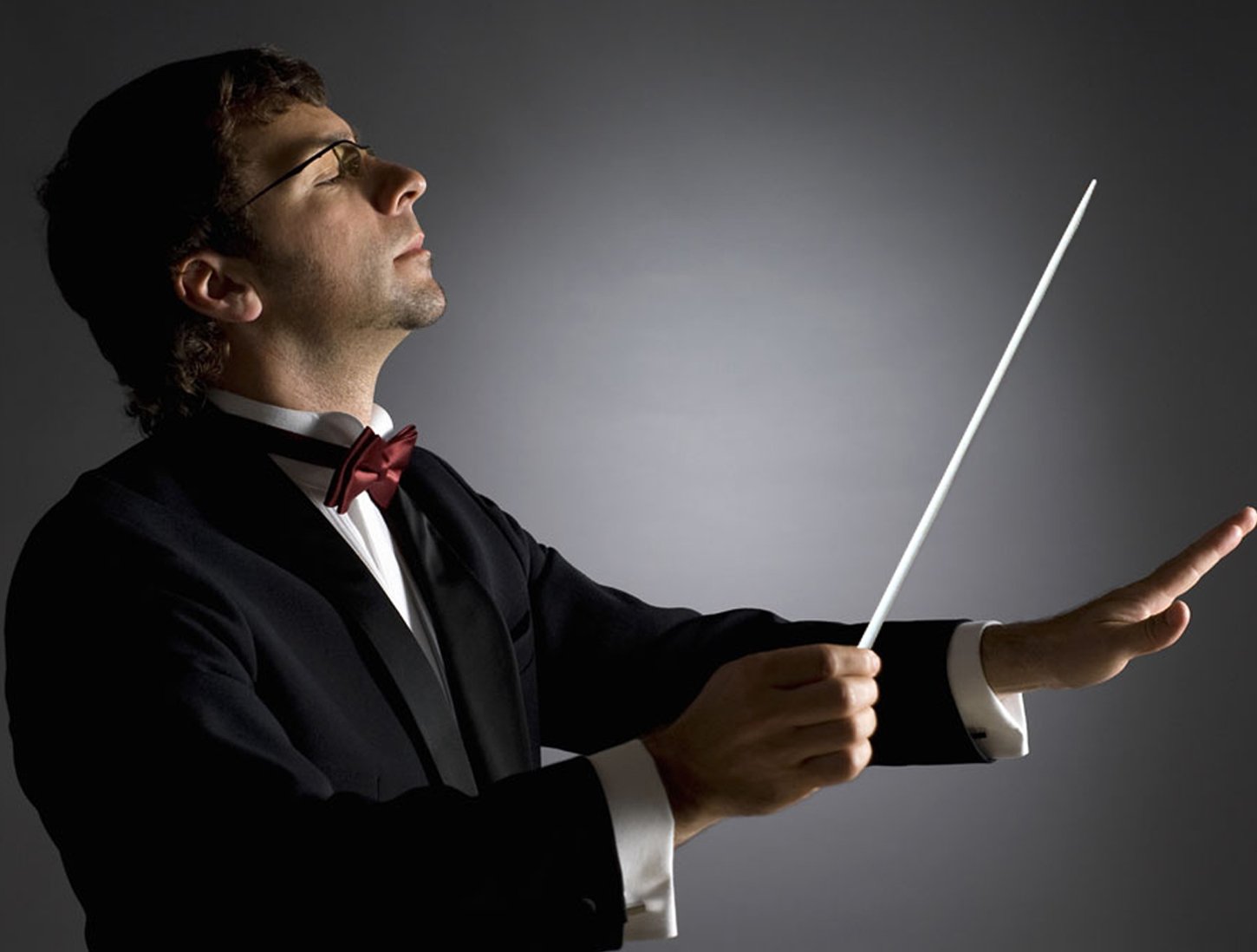 Music Conducting Baton Orchestra Baton Rosewood Handle Baton with Wooden gift box Conducting Baton(Rosewood Baton+Wooden Box)