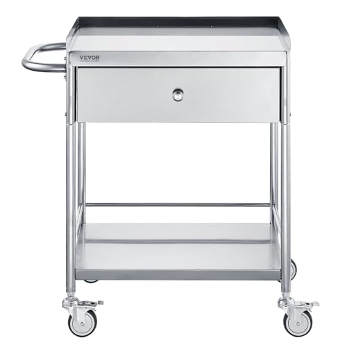 VEVOR Medical Trolley, Dual-Tier Stainless Steel Trolley with a 220 lbs Load Limit, Equipped with Quiet 360° Casters and a Drawer, Ideal for Laboratories, Clinics, Kitchens, and Salons