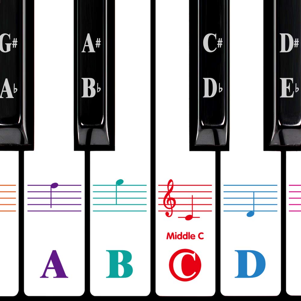 Piano Keyboard Stickers for 88/61/54/49/37 Key. Colorful Large Bold Letter Piano Stickers Perfect for kids Learning Piano. Multi-Color,Transparent,Removable