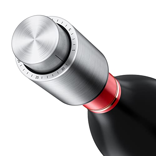 Wine Bottle Stoppers,2-in-1 Vacuum Wine Stopper,Stainless Steel Wine Savers, Reusable Wine Preserver, Vacuum Pump Corks Keep Wine Really Fresh, Best Gift Accessories,Hanlomele(1 Pack) (Silver)