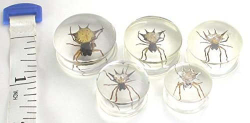 Painful Pleasures Spider - Real Spider Inside Acrylic Plug - 16mm-24mm - Price Per 1-24mm ~ 15/16"