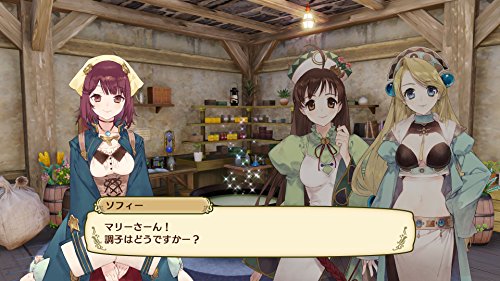 Nelke & The Legendary Alchemists: Ateliers of The New World - Nintendo Switch