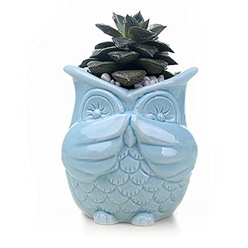 YONGYAN Owl Flower Pot Statue Decoration Ceramics Garden Planters Containers Pot Bookshelf Office Desktop Decor (Blue)