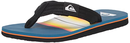 Quiksilver Men's Molokai Layback Flip Flop Sandal, Blue 4, 10