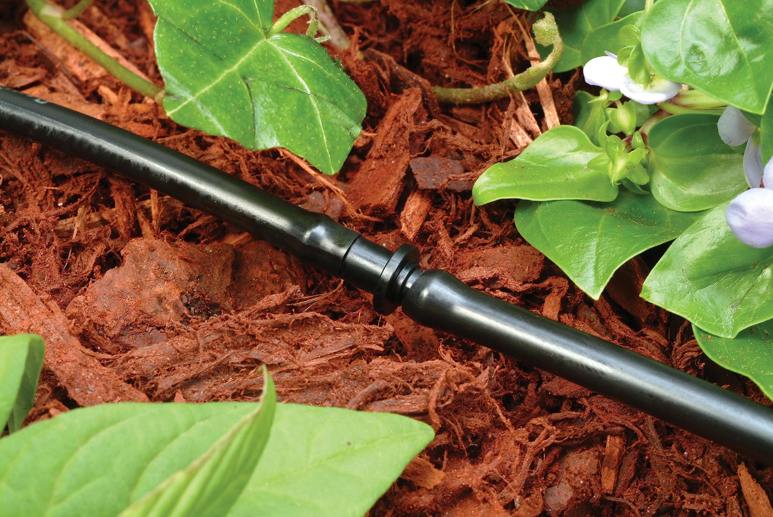 Rain Bird BC25-30PS Drip Irrigation Universal 1/4" Barbed Coupling Fitting, 1/4" Drip Tubing, 30-Pack