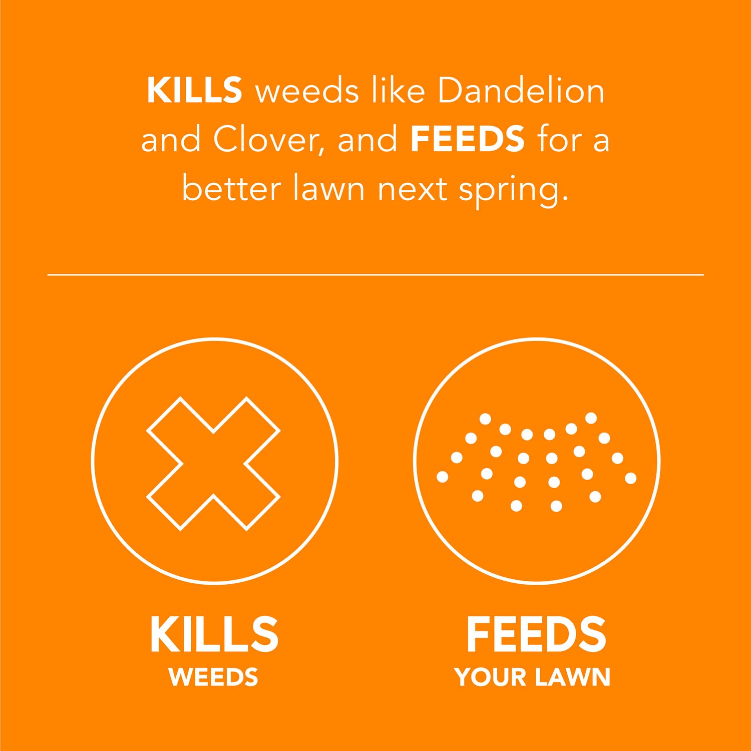 Scotts Turf Builder WinterGuard Fall Weed & Feed3, Weed Killer Plus Fall Fertilizer, 4,000 sq. ft, 11.43 lbs.
