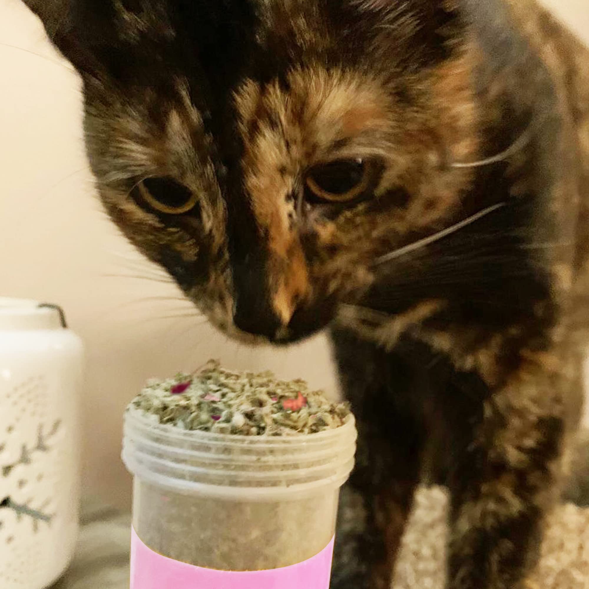 Meowijuana | Get Stuffed Bundle | Get Stuffed Stocking and Winter Lift | Promotes Play and Cat Health | Includes Organic Catnip | Feline and Cat Lover Approved