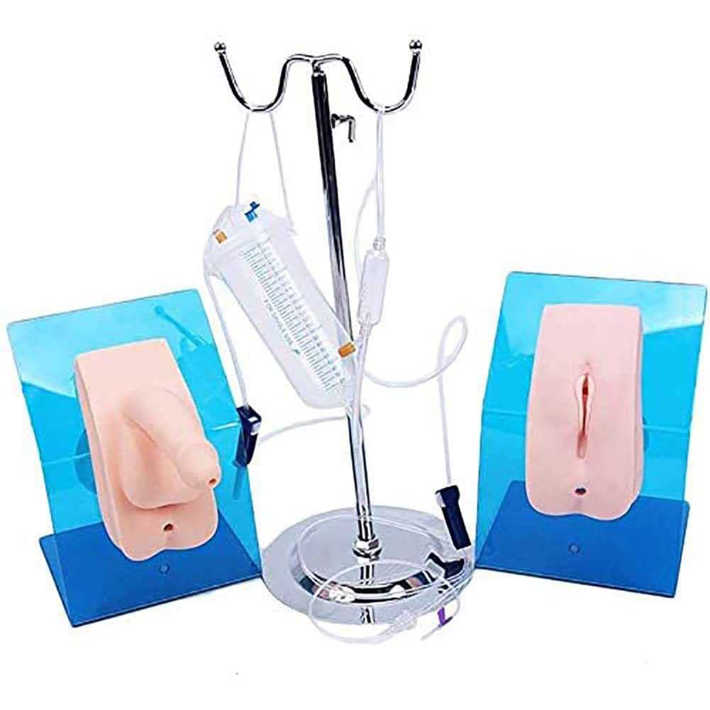 WLKQ Urethral Catheterization Medical Healthcare Model, Medical Practice Traning Model, Female and Male Manikin Teaching Basic Care Simulation Medical for Educational Training Aid