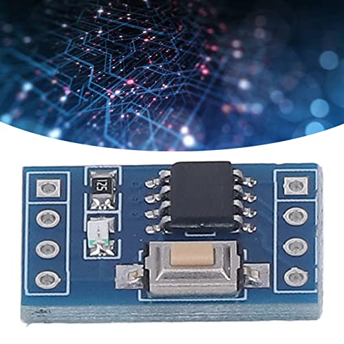 YYQTGG Microcontroller Development Board, Professional Singlechip System Board Accurate Timing Strong Encryption for LED Industry