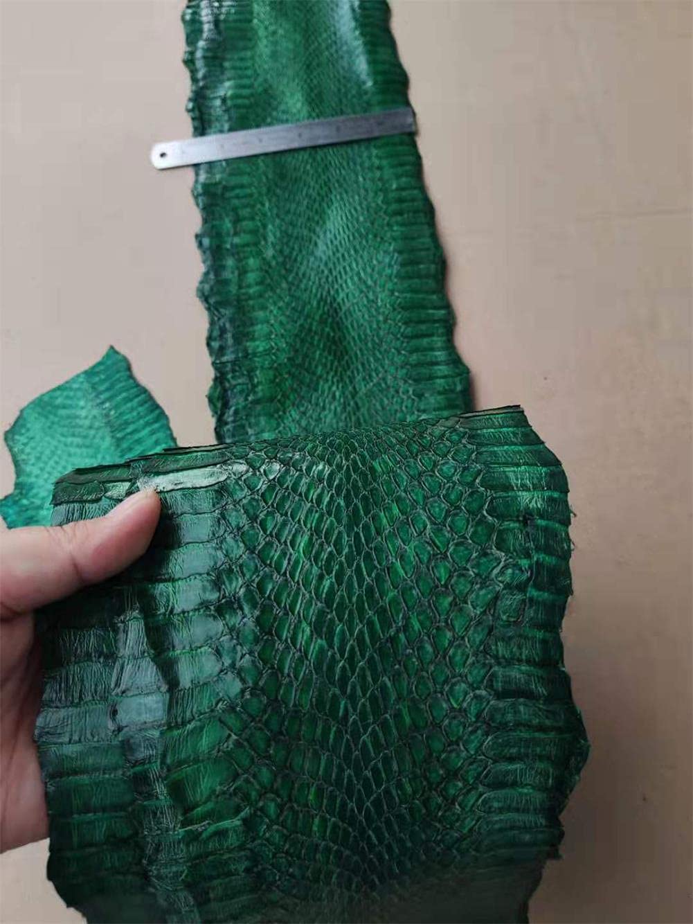 Snake Skin Snakeskin Pieces Assorted Colors Hide Leather Natural 47in (Green)