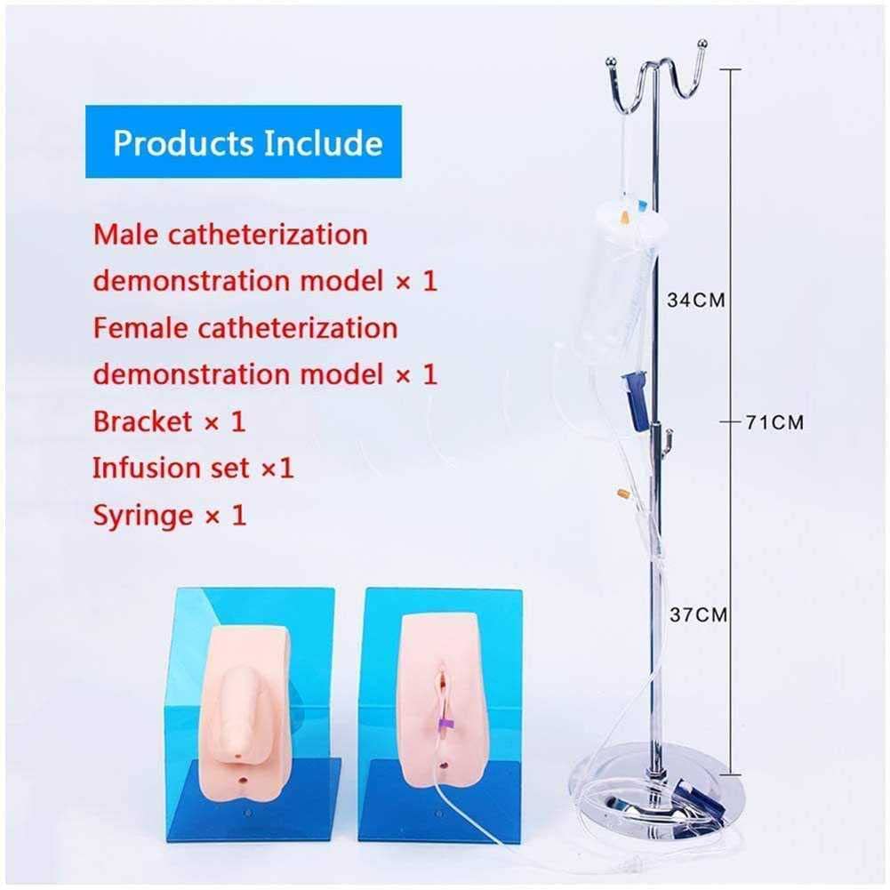 WLKQ Urethral Catheterization Medical Healthcare Model, Medical Practice Traning Model, Female and Male Manikin Teaching Basic Care Simulation Medical for Educational Training Aid