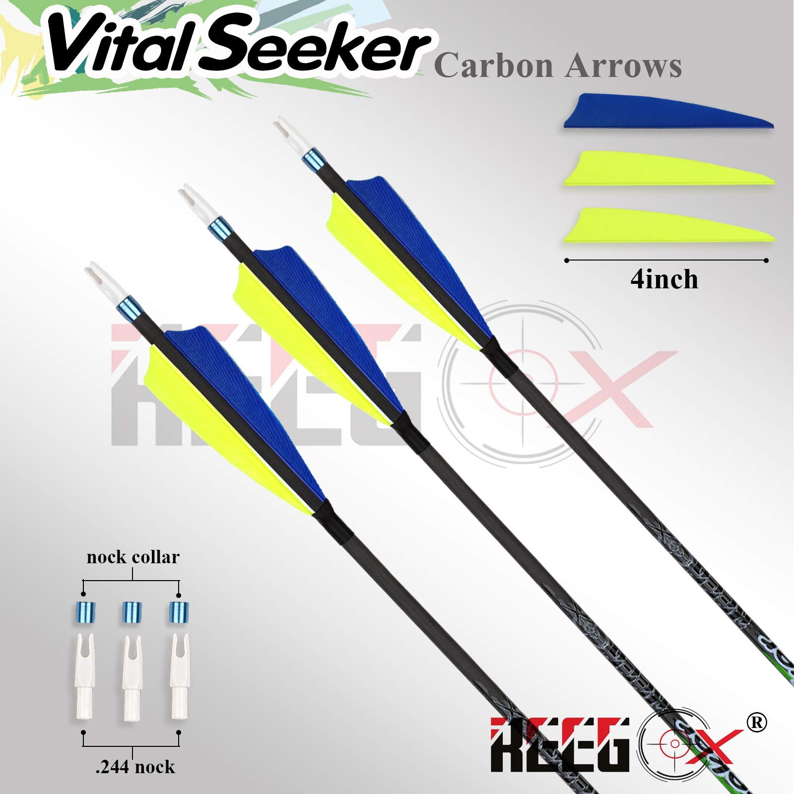 REEGOX Archery Feather Arrows Carbon 30 inch with 4” Turkey Feathers for Hunting Targeting Recurve Compound or Traditional Bow with Removable Tips (6pk)