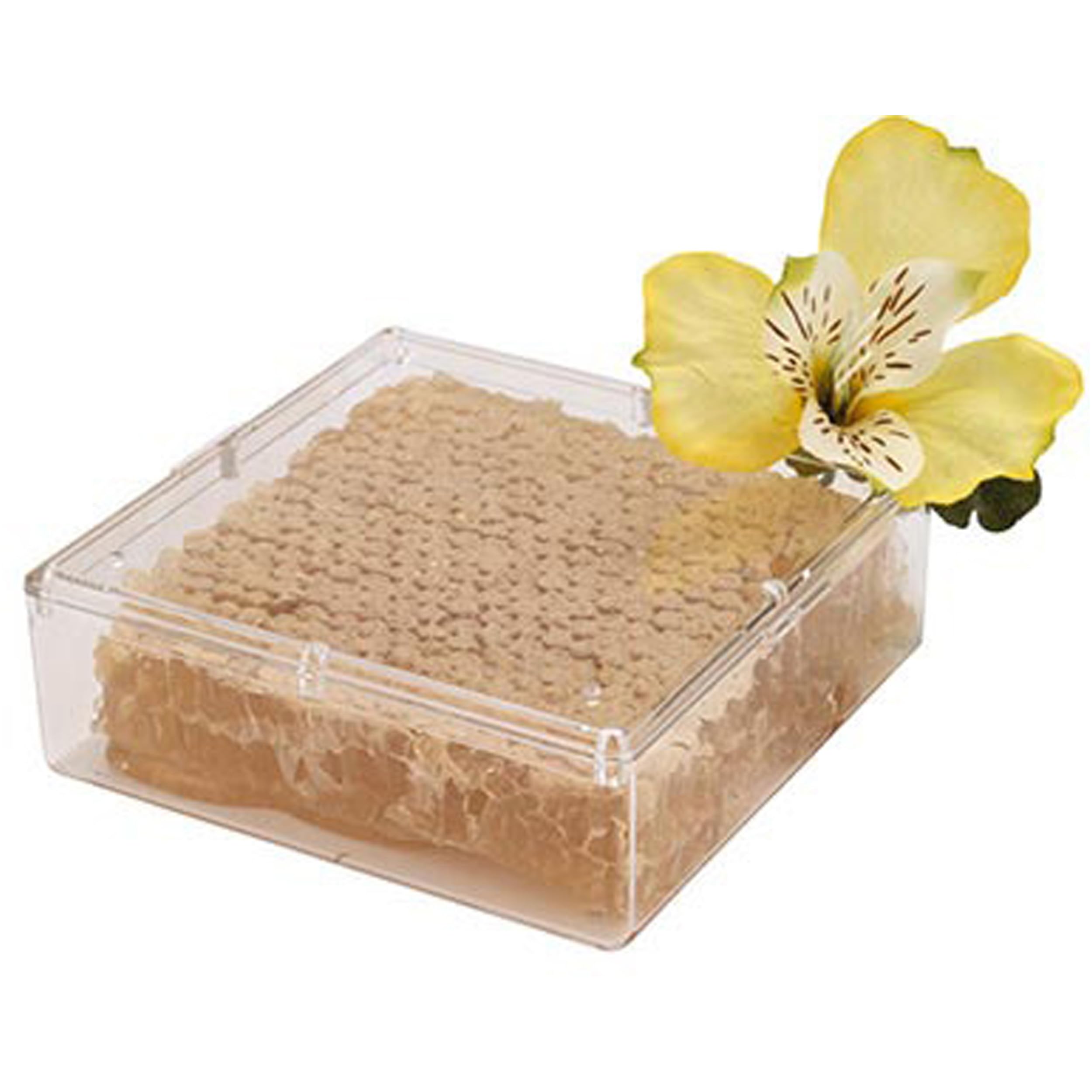 Pioneer Plastics 156C Clear Square Plastic Container, 4.3125" W x 4.3125" D x 1.375" H, Pack of 12