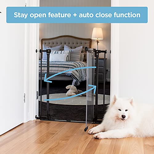 Perma Child Safety Clear Ultimate Safe Step Secure Handle Auto Close Pressure Mounted Gate, Warm Black, Fits Openings 36.6"-40.2" Wide, 2X 4 Extensions Included