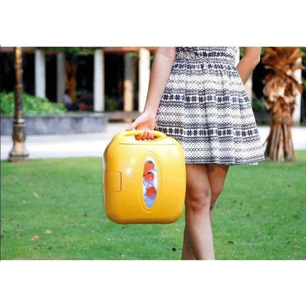 N/A Thermoelectric Mini Fridge Cooler and Warmer - for Home,Office, Car, Dorm or Boat - Compact & Portable