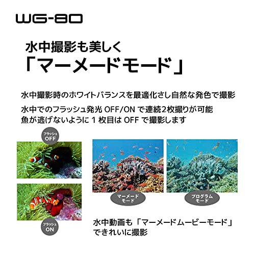 Ricoh WG-80 Black Waterproof Digital Camera Shockproof Freezeproof Crushproof (International Version)
