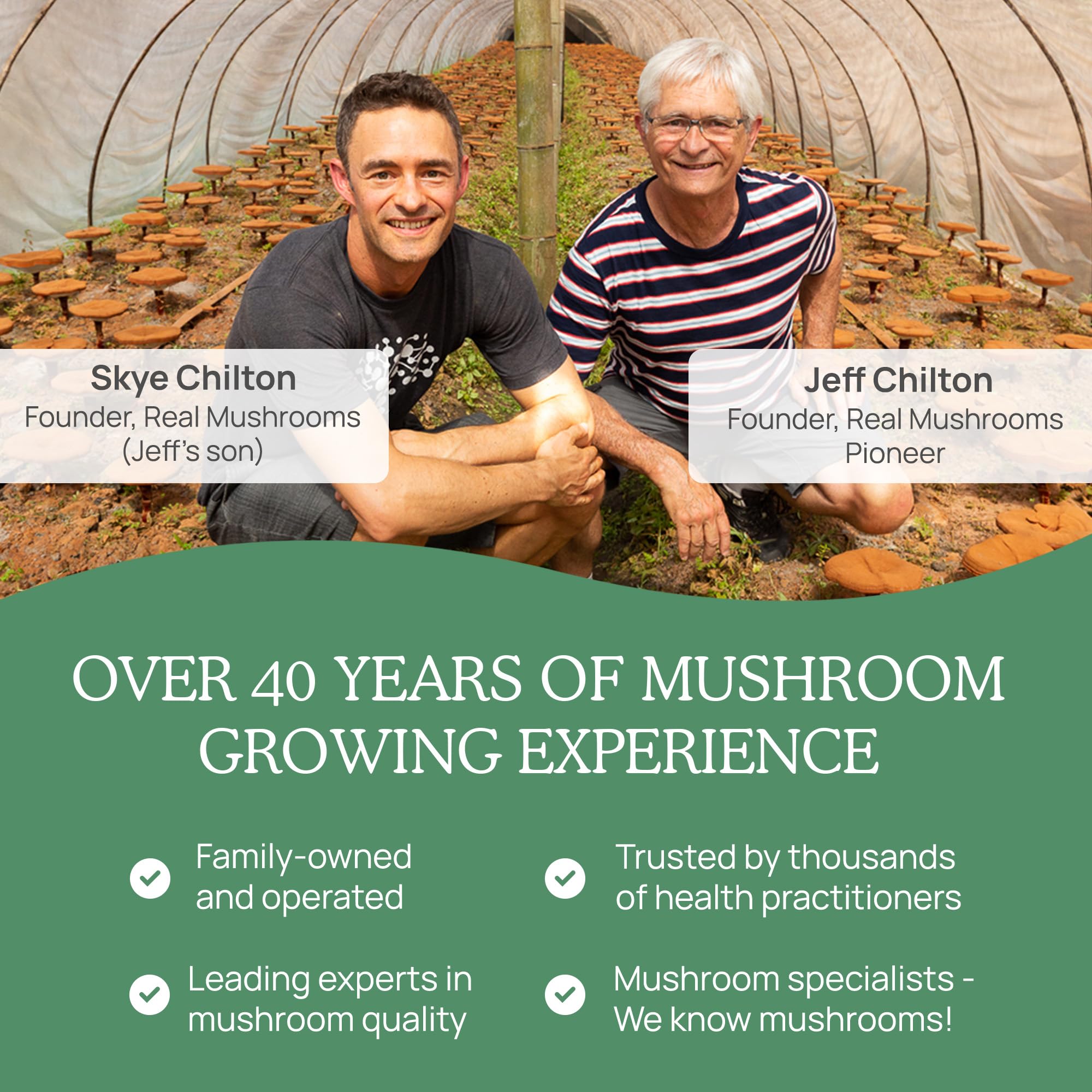 Real Mushrooms 5 Defenders Capsules - Organic Mushroom Extract w/ Chaga, Shiitake, Maitake, Turkey Tail, & Reishi - Mushroom Supplement - Vegan, Non-GMO, 90 Caps