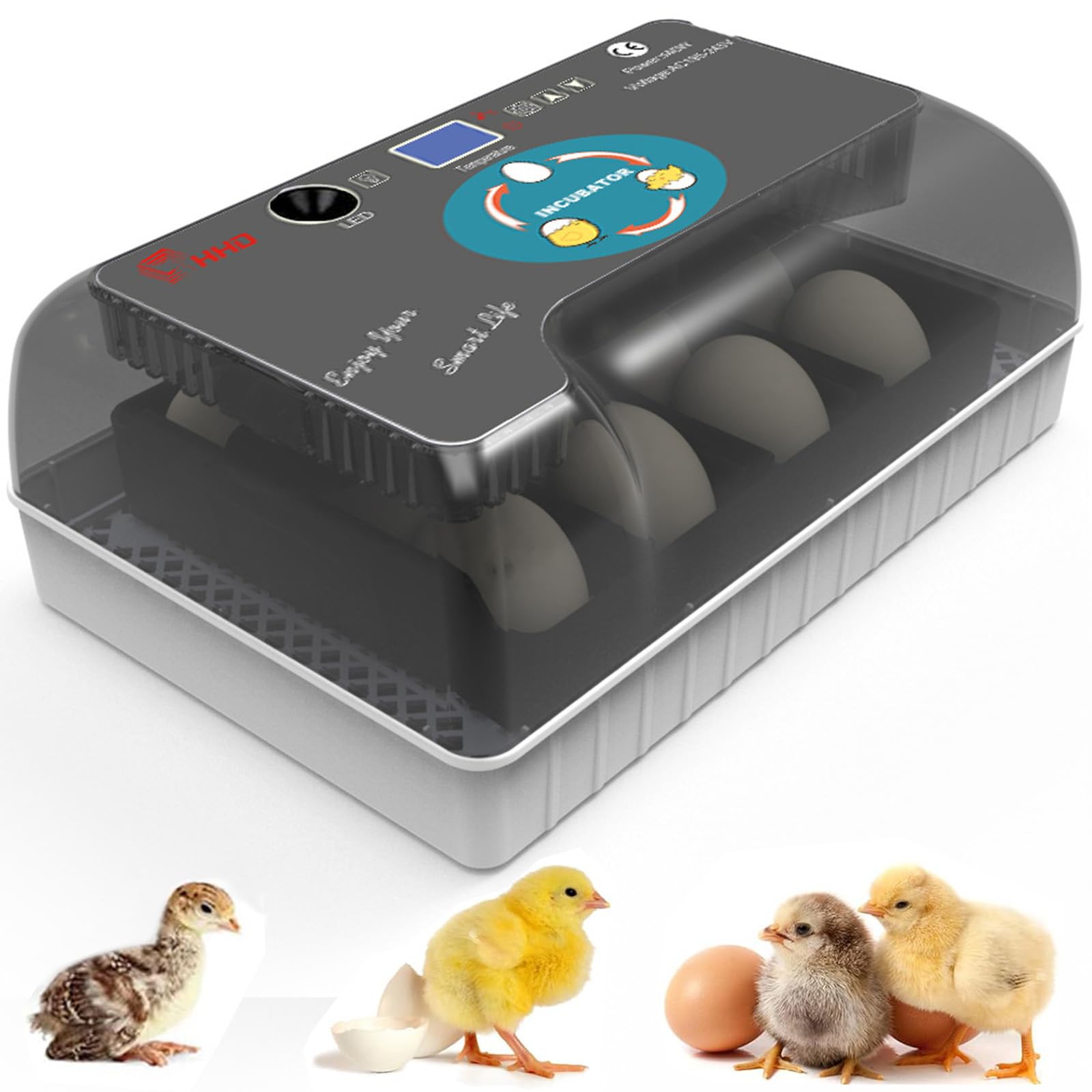 SSZYace 12-35 Egg Incubator, Incubators for Hatching Eggs with Automatic Turner, Egg Candler and Temperature Display, for Chicks, Quails, Ducks, Small Poultry