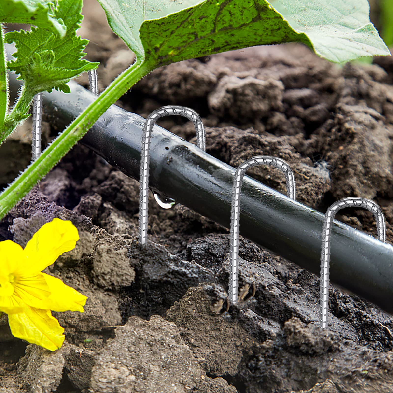 Rebar-Stakes-12-Inch-Galvanized, J Hook Rebar Stakes 6 Pack Ground Anchors Tent Stakes Heavy Duty for Plants Anti-Rust Landscape Fabric Stakes Artificial Turf