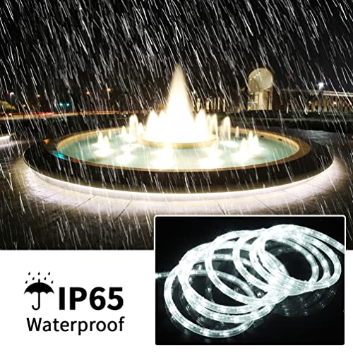 YQNLIFA Dimmable 80ft LED Rope Lights, 864 LEDs IP65 Waterproof Outdoor Indoor Linkable Cuttable Rope Light, 110V 6000K Daylight White Rope Light for Patio Garden Corridor Home Party Décor