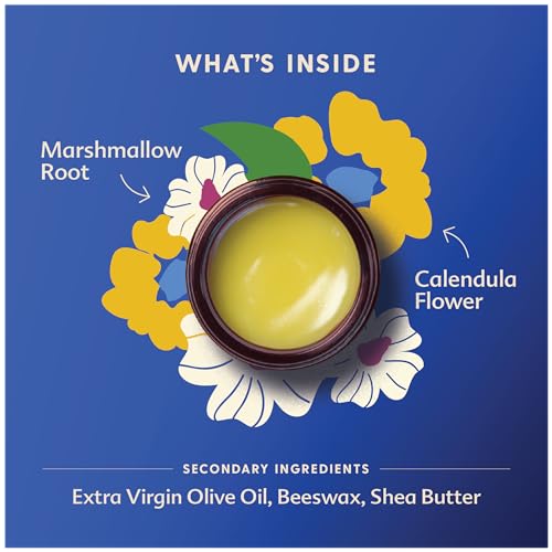 Motherlove Nipple Cream (2 oz) Organic Lanolin-Free Nipple Cream for BreastfeedingâBenefits Nursing & Pumping Moms