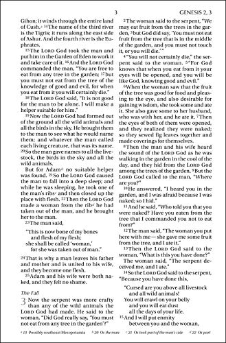 NIV, Holy Bible, Larger Print, Paperback