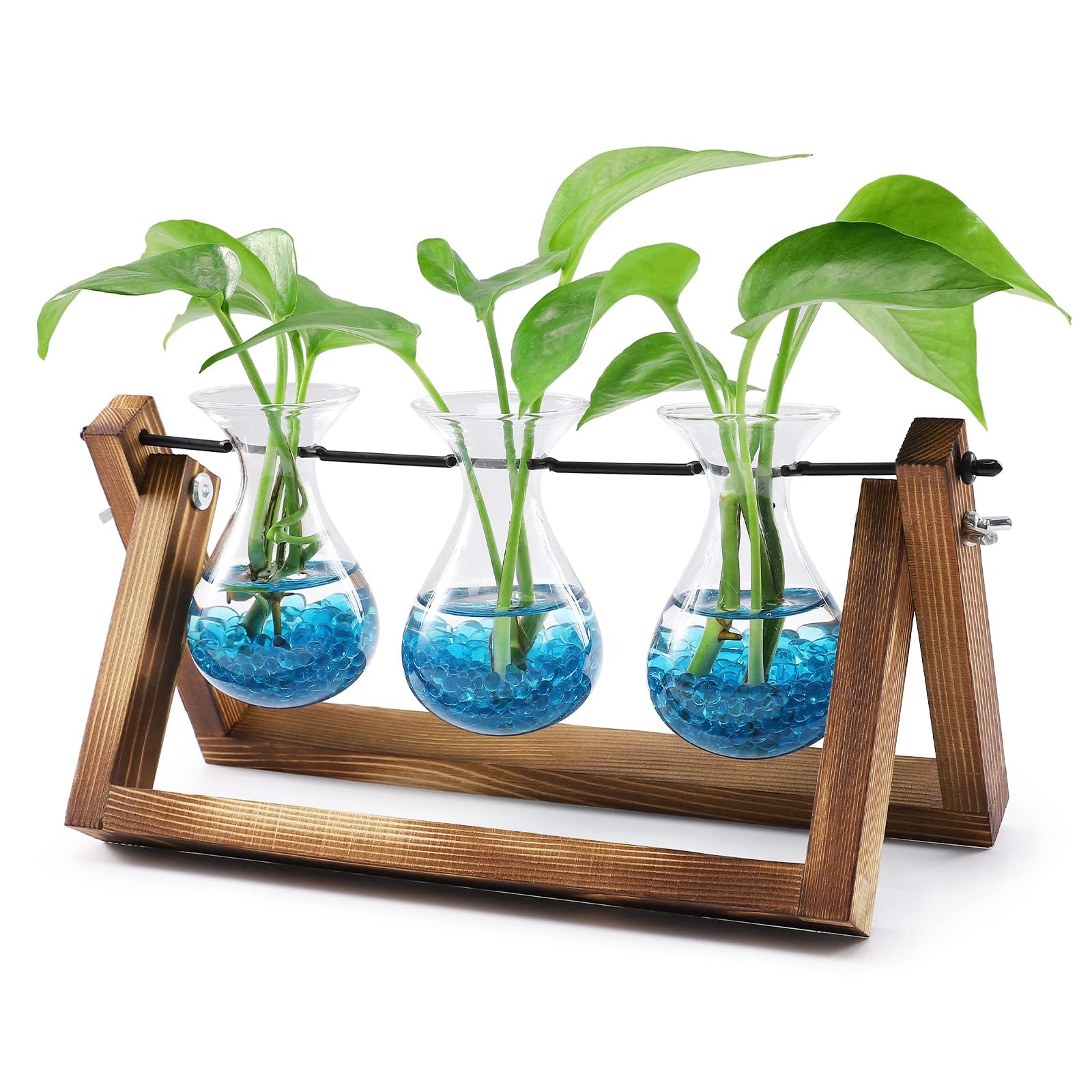 XCC Plant Propagation Station - 3 Bulb Vase, Perfect Home and Office Decor, Ideal Gift for Women, Beautiful Garden Decoration, Great Birthday Gift for Planter Lover