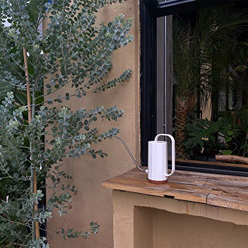 YYGoo Indoor Watering Can, Modern Style Watering Pot with Long Spout, Small Size for House Bonsai Plants Garden Flower, 40oz/1.2L (White)