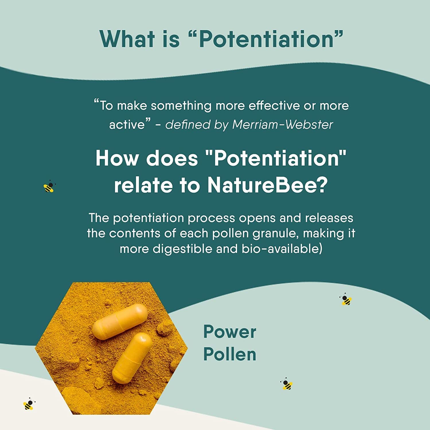 NatureBee Power Pollen 200 x 500mg Caps | Energy, Immune, and Cognitive Support | Potentiated Bee Pollen | Natural Superfood | 3 Month Supply