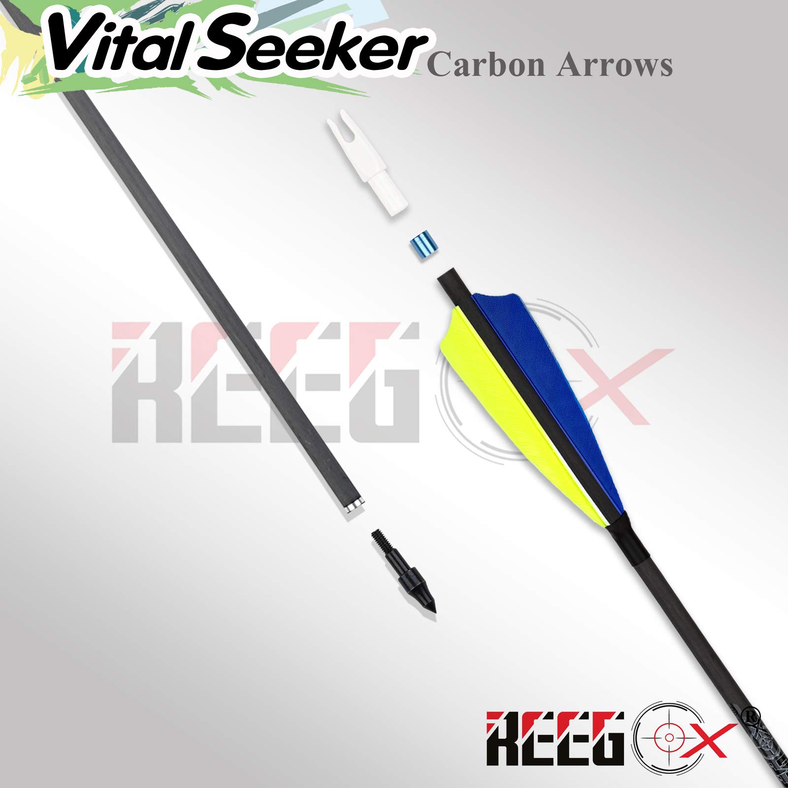 REEGOX Archery Feather Arrows Carbon 30 inch with 4” Turkey Feathers for Hunting Targeting Recurve Compound or Traditional Bow with Removable Tips (6pk)