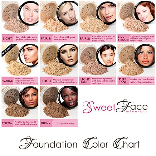 STARTER KIT with BRUSH SET (WARM Neutral Shade-Most Popular) Mineral Makeup Kit Bare Face Loose Powder Natural Matte Foundation Cover