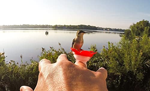 ZUMMR Hummingbird Ring Feeder (Red) - Hand Feed Hummingbirds Right in Your Backyard. Get up Close and Personal with Nature. Proudly Made in The U.S.A. - The Original