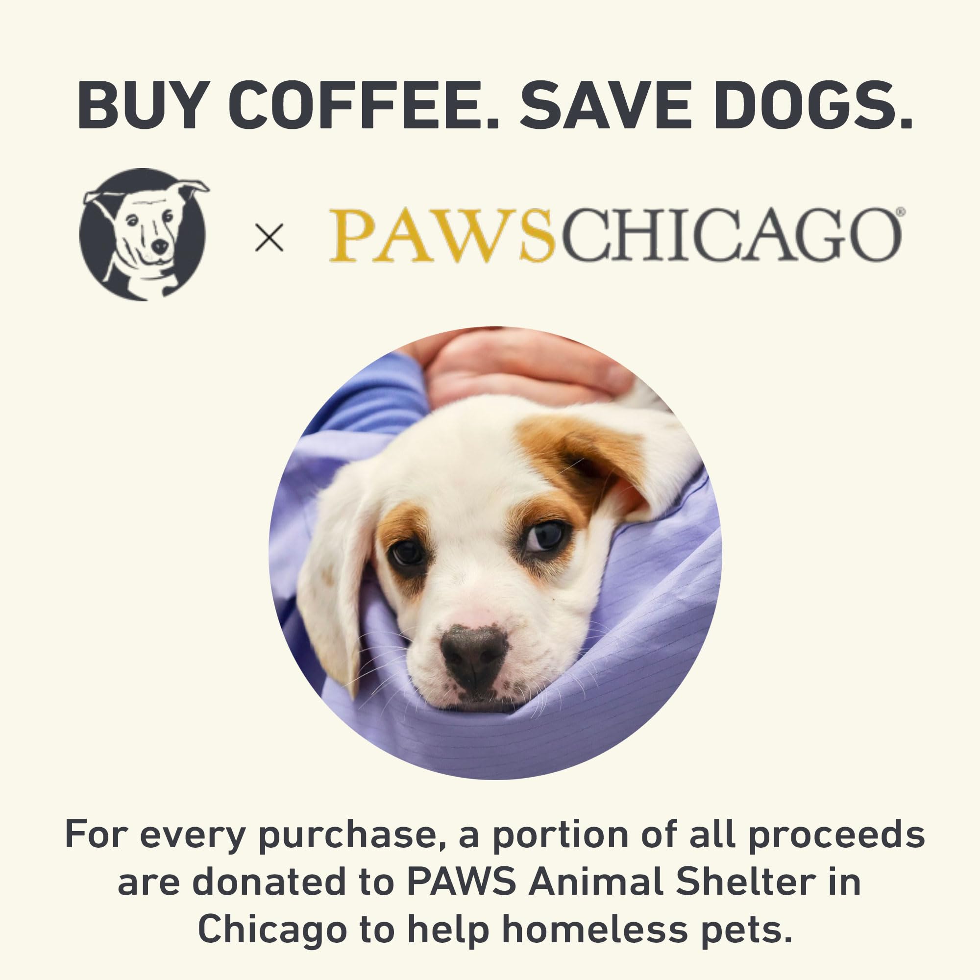Stella Blue Fresh Ground Coffee - Big Cat Blend - 100% Arabica MEDIUM Roast - Ethically & Sustainably Sourced from Central America - Helps Support PAWS Chicago - 12 ounce Bag