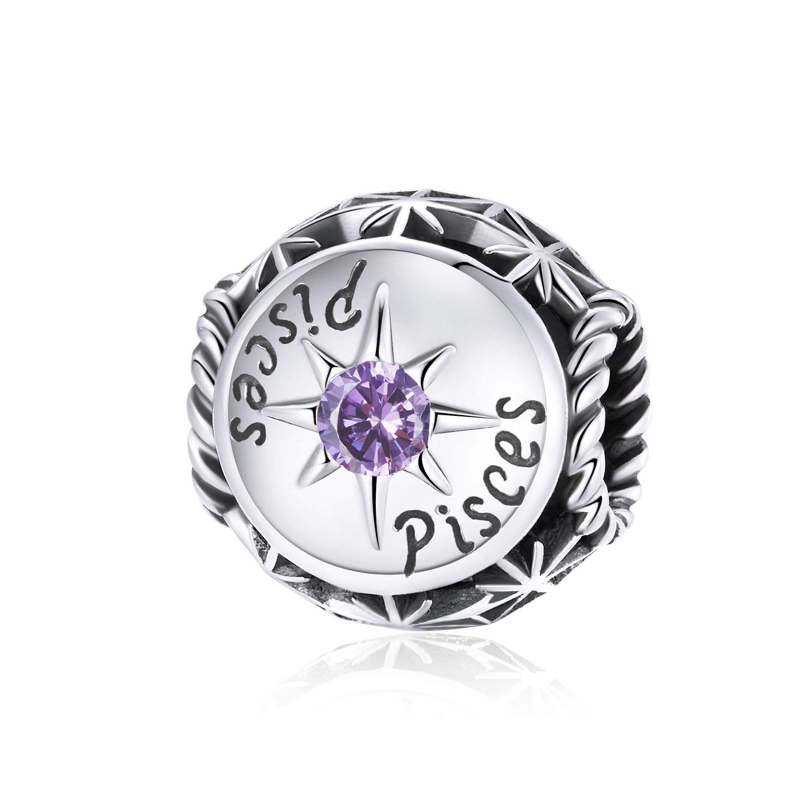 Pisces Constellation Charm 925 Sterling Silver Birthstone Charm Anniversary Charm Love Charm Lucky Charm for Pandora Charm Bracelet (Pisces (2.19-3.20))