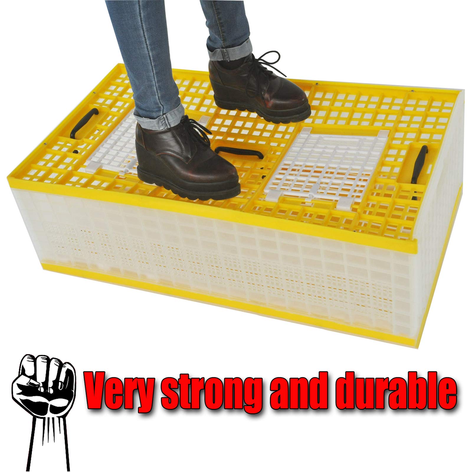 Plastic Pigeon cage Portable Foldable Plastic Transportation Poultry Transportation Bird cage Hunting cage Coop 24×12×9in Chicken cage