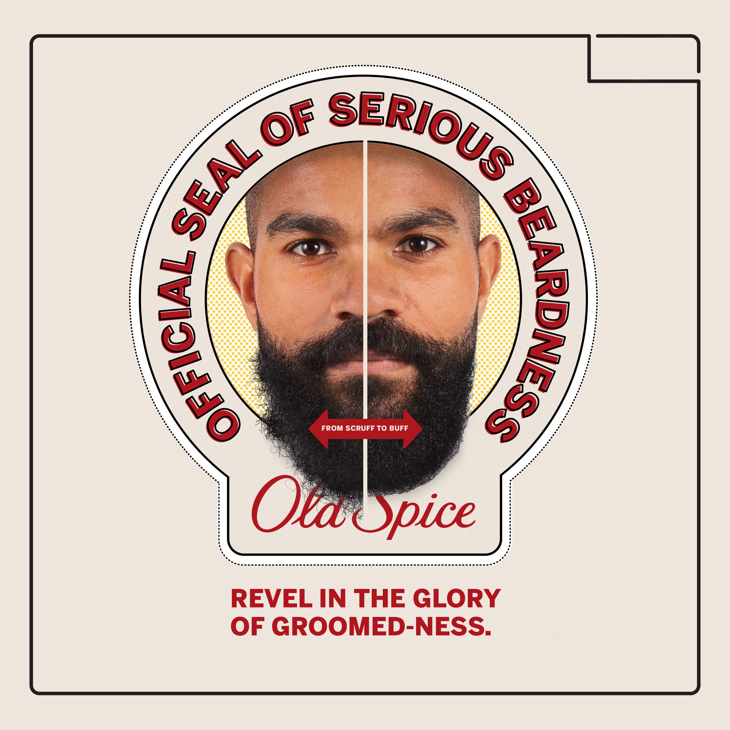 Old Spice, Beard Wash + Leave In Conditioner for Men, Beard Care & Grooming Kit, 6.8 oz + 5 oz