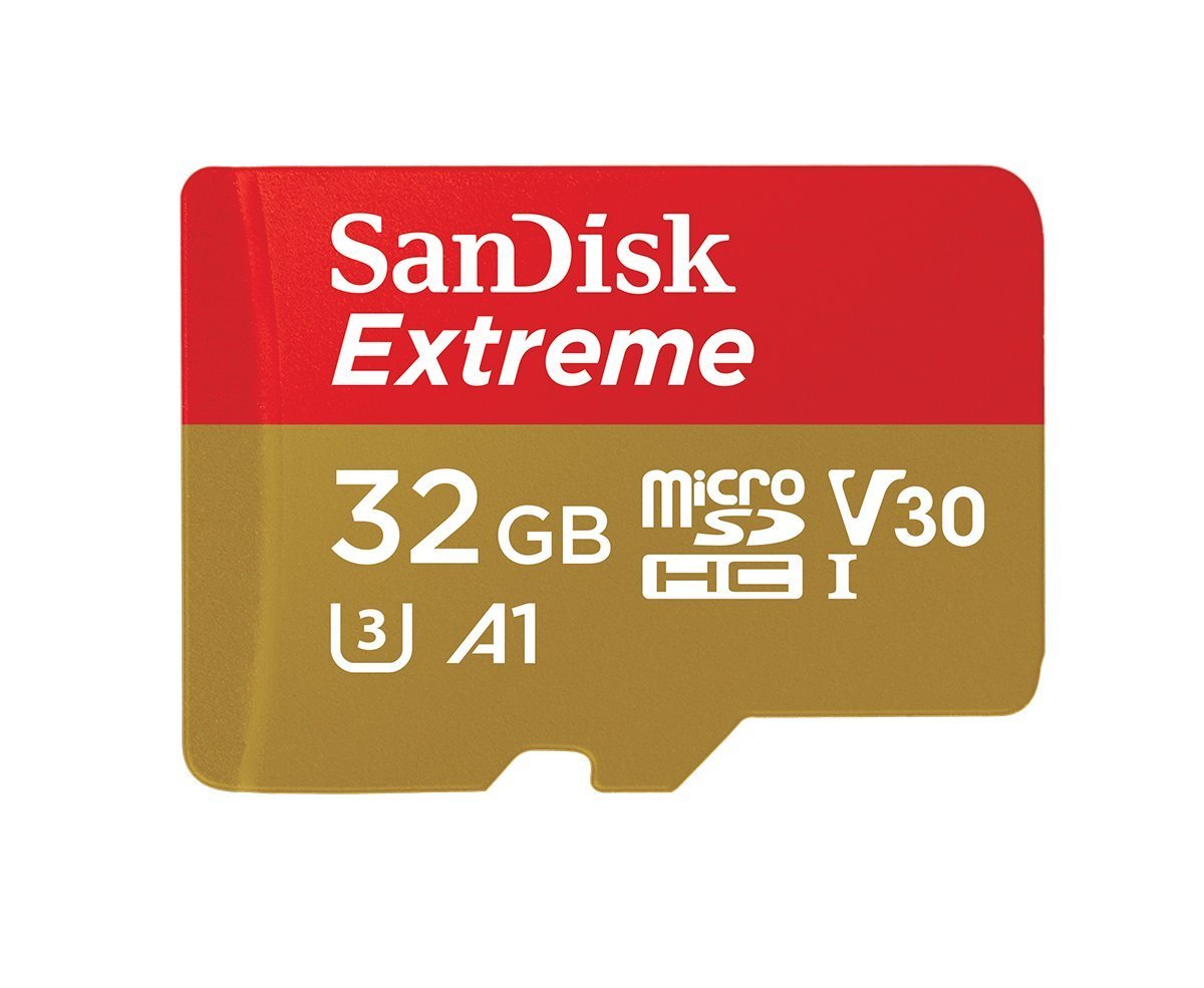 SanDisk 32GB Micro SDHC Extreme Memory Card (2 Pack) Works with GoPro Hero 8 Black, GoPro Max 360 Action Cam U3 V30 4K Class 10 (SDSQXAF-032G-GN6MN) Bundle with 1 Everything But Stromboli Card Reader