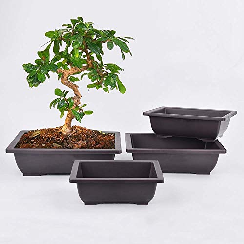YITAQI 1PC Bonsai Training Pots - Classic Deep Humidity Trays with Built in Mesh - Plastic Square Pot & Bonsai Plants Growing Pots(Rectangle S)