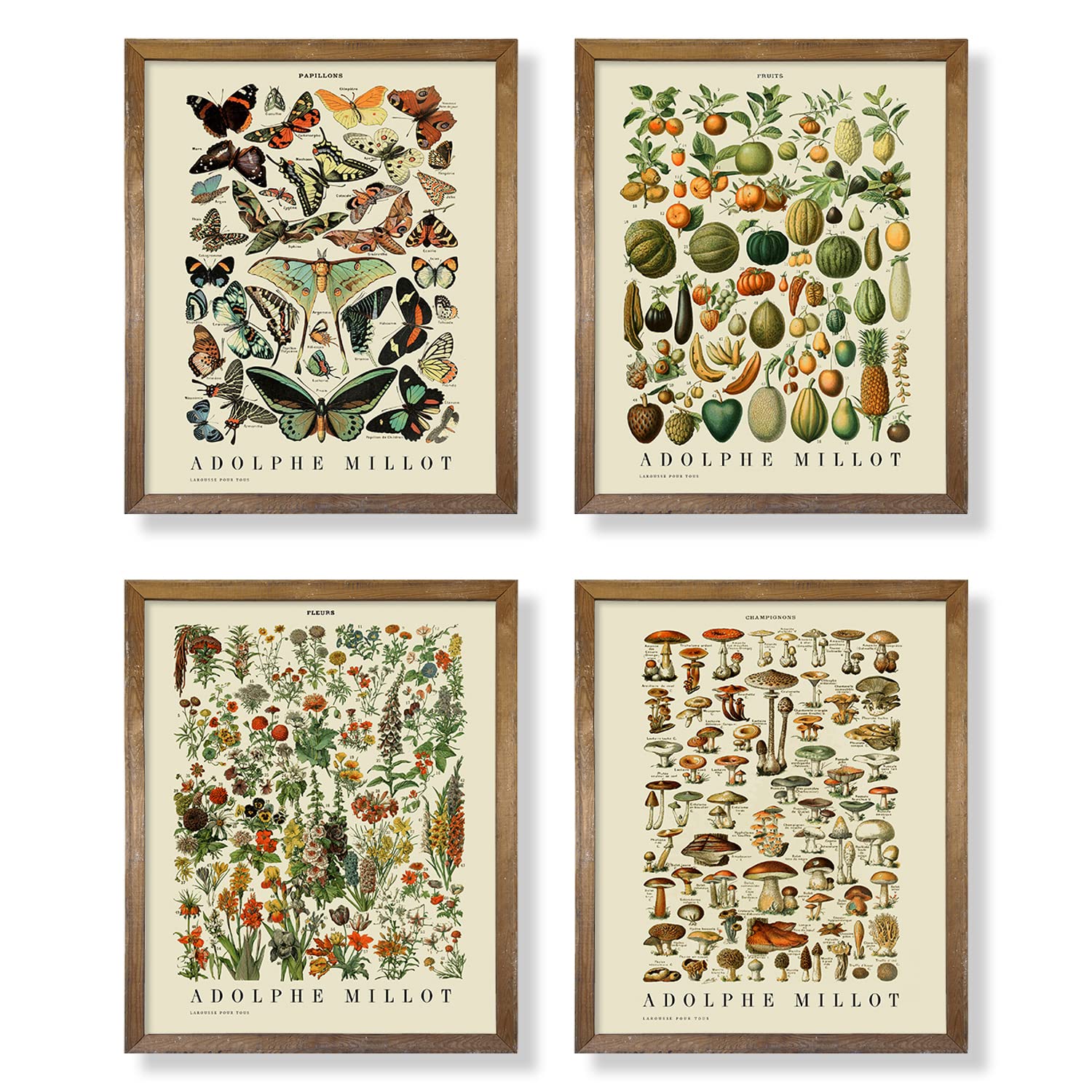 Vintage Botanical Wall Art - Mushroom Poster Room Decor - Butterfly Wall Decor - Flower Botanical Posters Aesthetic - Floral Plants Pcitures for Kitchen Dining Room - Lemon Goblincore Cottagecore