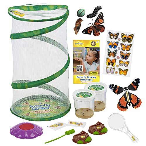 Mini Butterfly Garden Gift Set Two Live Cups of Caterpillars โ Dual Lens Magnifier โ Butterfly Life Cycle Stages
