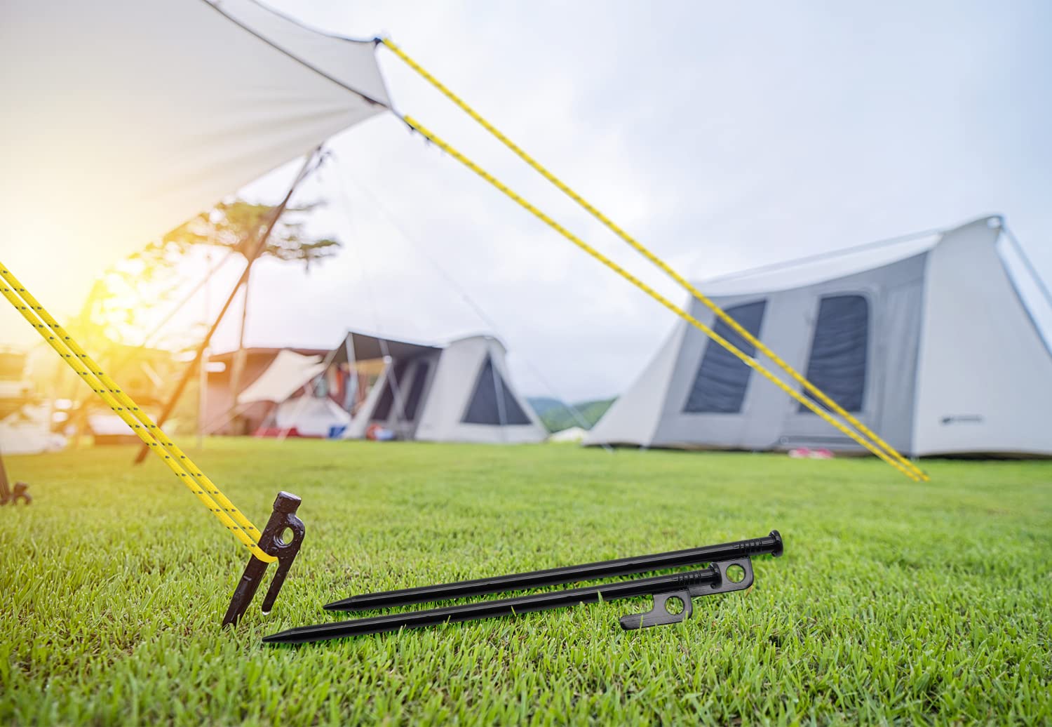Tent Stakes, 4 Pack 10in Heavy Duty Tent Stakes + Carrying Bag, for Rocky Place Dessert Snowfield and Grassland (4 Pack 10in Stakes)