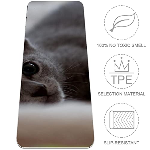 Yoga Mat, Yoga Mats for Home Workout, Workout Mat, Exercise Mats, Pilates Mat, grey cat animal pattern