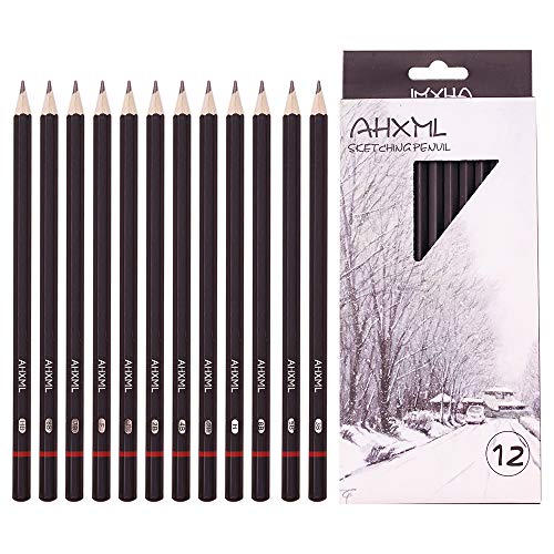 Professional Drawing Sketch Pencils Set, 12 Pieces Drawing Pencils, 8B,7B, 6B, 5B, 4B, 3B, 2B, B, HB, F, H, 2H Graphite Pencils, Ideal for Drawing Art, Sketching