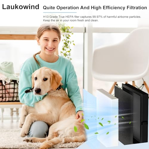 MK04 Replacement Filter Compatible With Aroeve - H13 Hepa Filter Replacement For Filte Pet Dander,2 Pack Replacement Filter For Bedroom And Office, Part #MK04LX