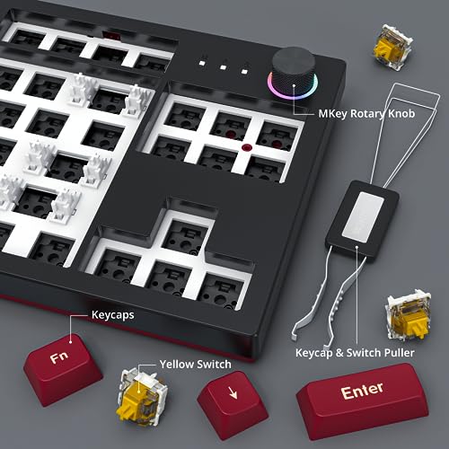 Montech MKey TKL Mechanical Gaming Keyboard: Customizable RGB LED, Premium MDA Profile PBT Keycap, Hot-Swappable Gateron G Yellow Pro 2.0 Pre-lubed Switches, Osaka Castle Theme, Darkness (MK87DY)
